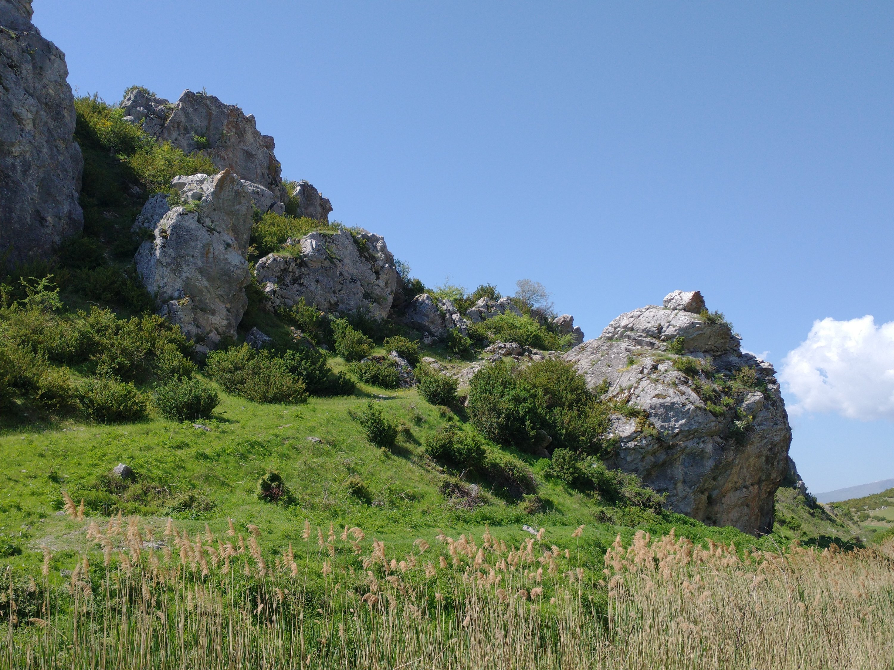 Balkan Postcards 5: Separating the Sheep from the Goats – From Pyrenees ...
