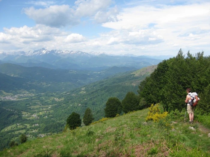 Mountain Apollo Revisited – From Pyrenees to Pennines