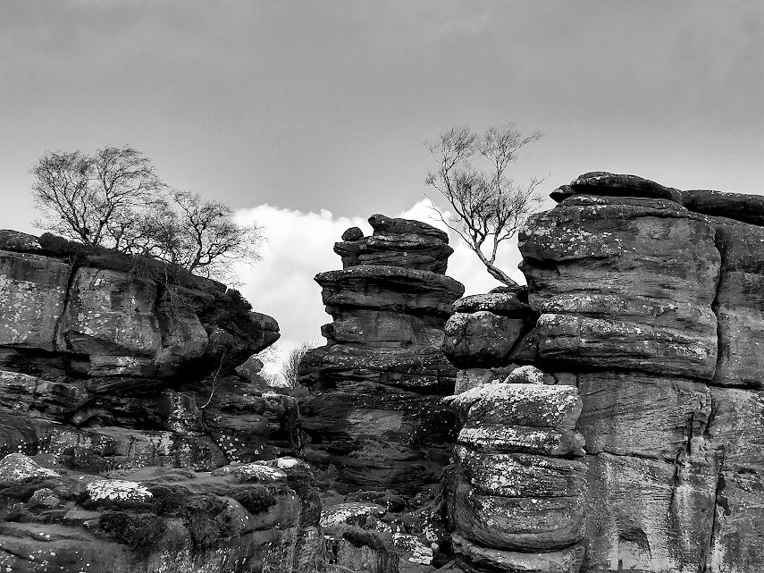 Seeing Trees in Black & White – From Pyrenees to Pennines