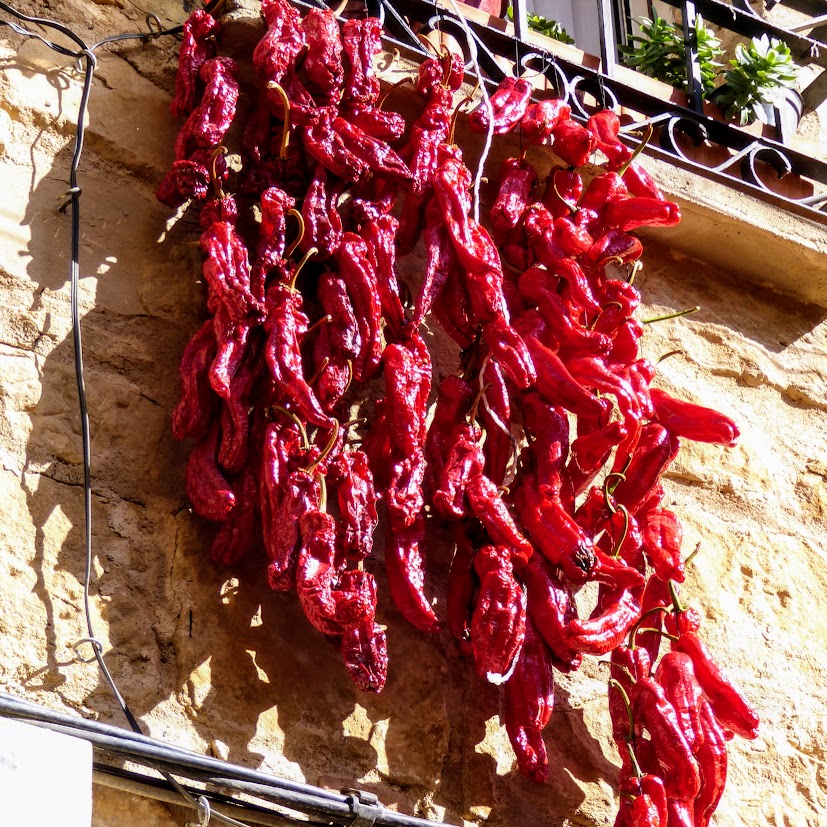 Chillis and Capsicums – From Pyrenees to Pennines