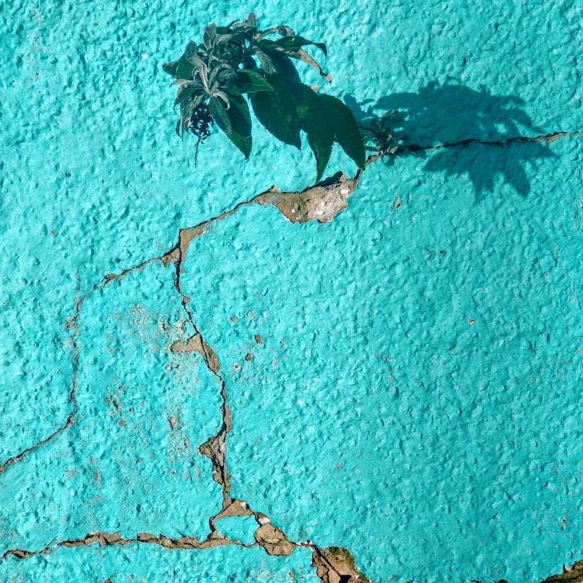A Very Tiny Garden – & its Shadow – From Pyrenees to Pennines