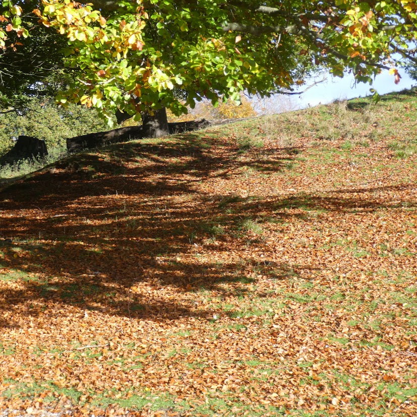 Autumn Shadows at Studley Royal – From Pyrenees to Pennines